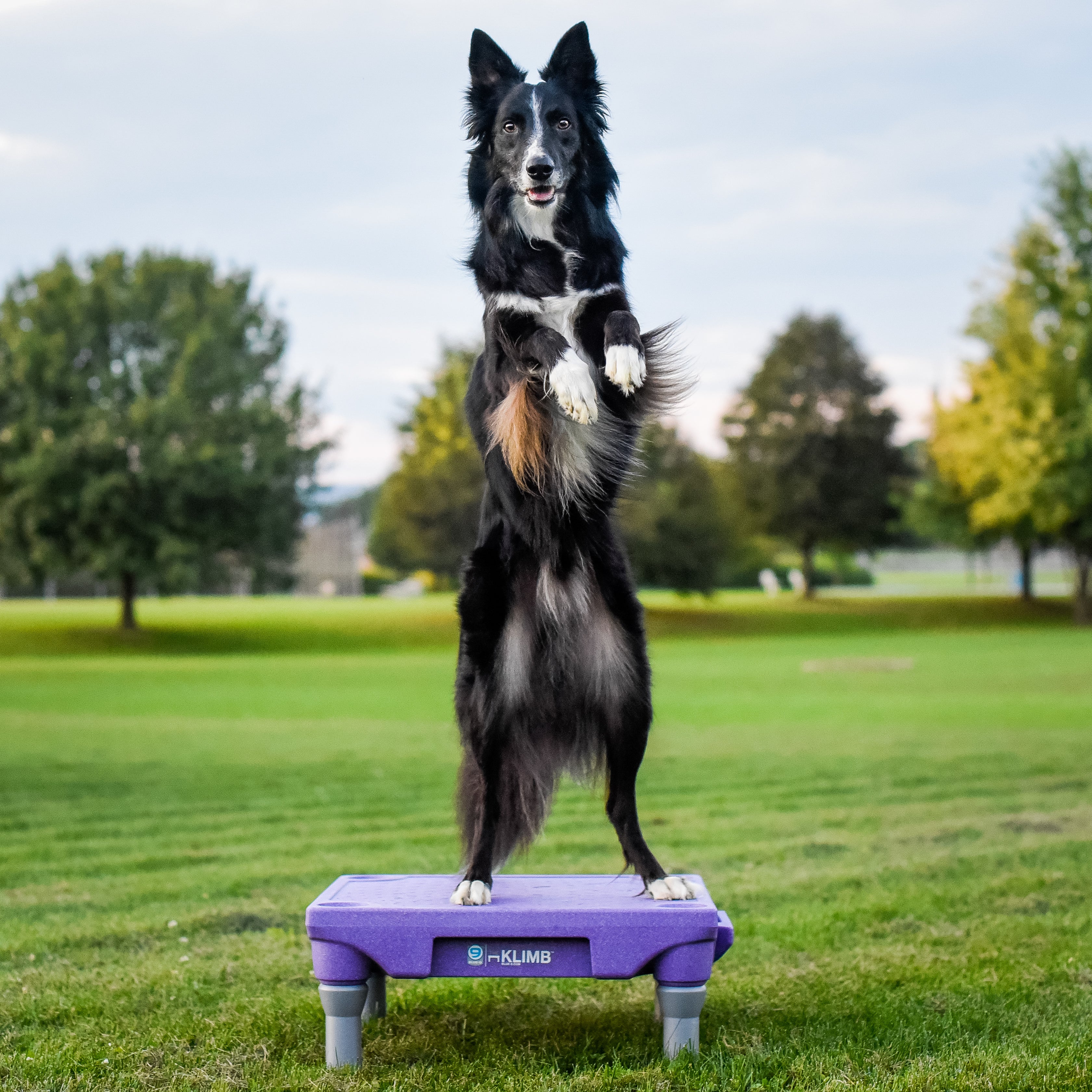 Building Skills with the KLIMB and Propel Platforms: Tips and Techniqu ...