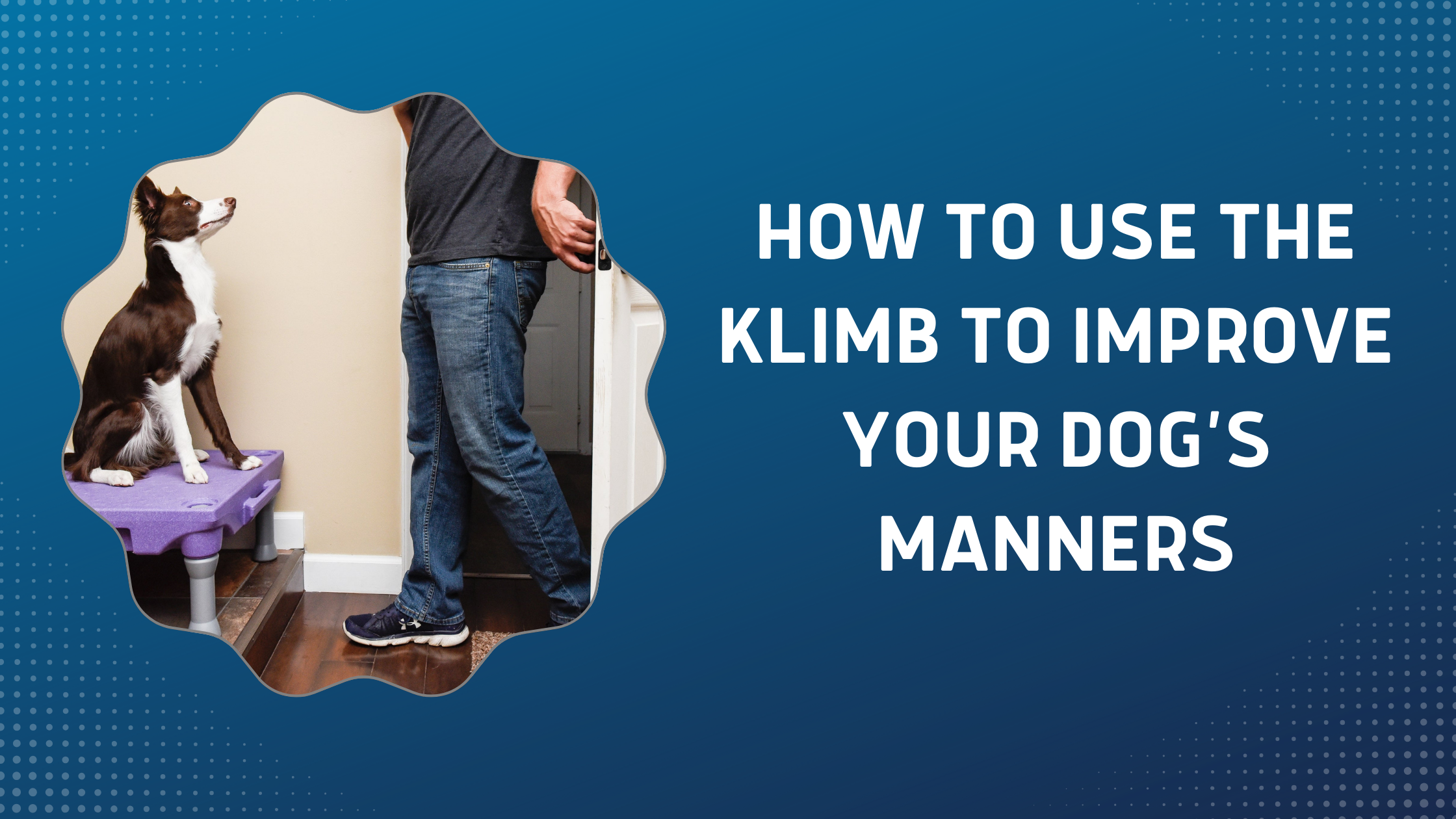 How to Use the KLIMB to Improve Your Dog's Manners – Blue-9 Pet Products