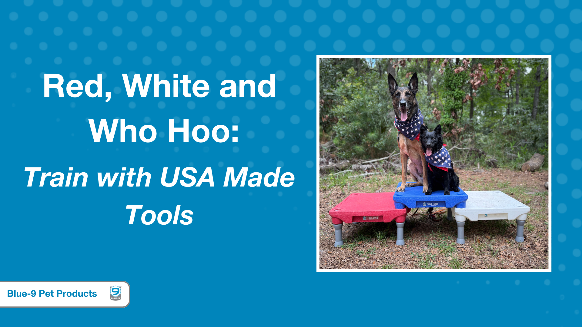 Red, White, and Woo-hoo: Train with USA-Made Tools – Blue-9 Pet Products