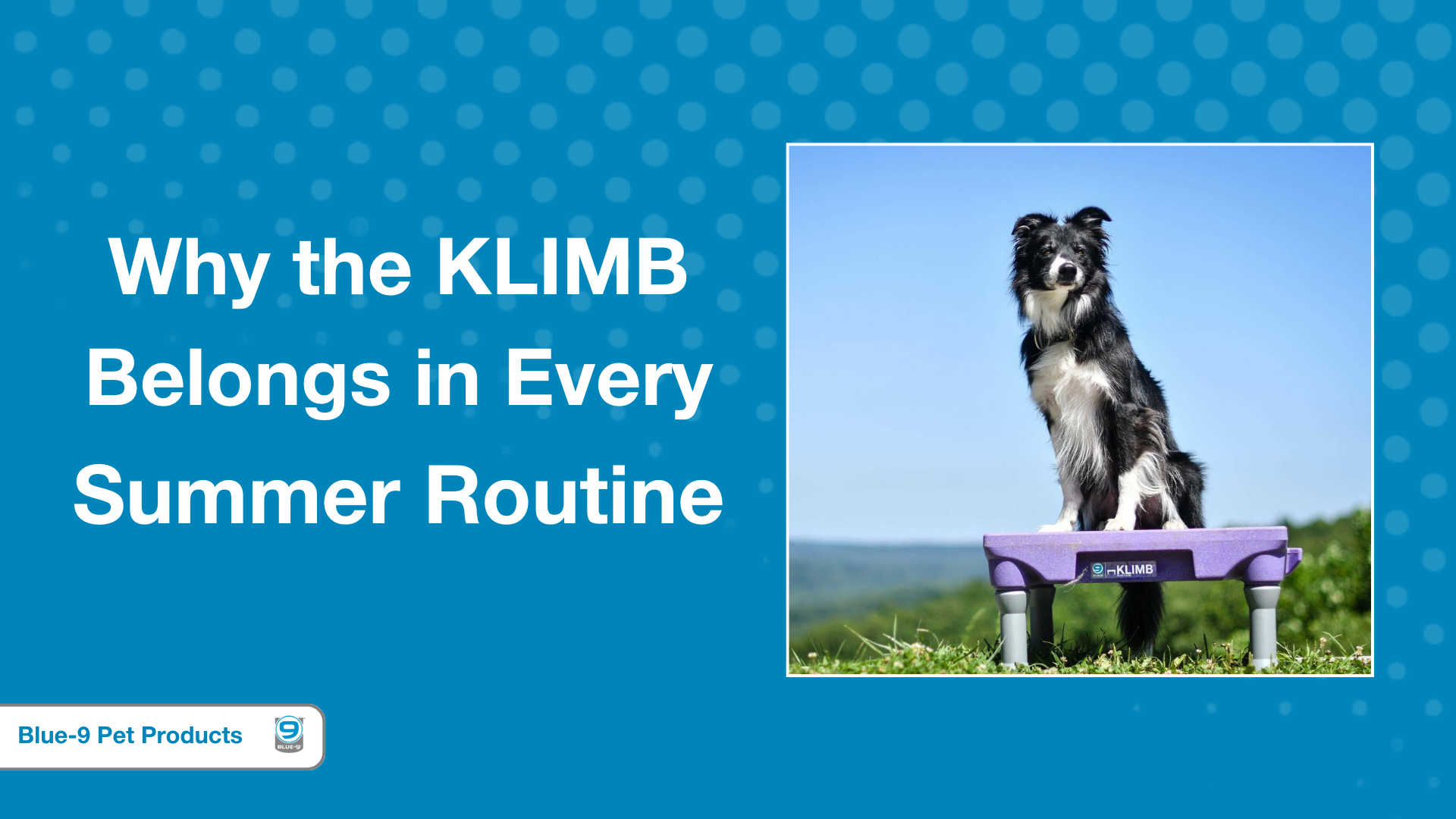 Why the KLIMB Belongs in Every Summer Routine – Blue-9 Pet Products