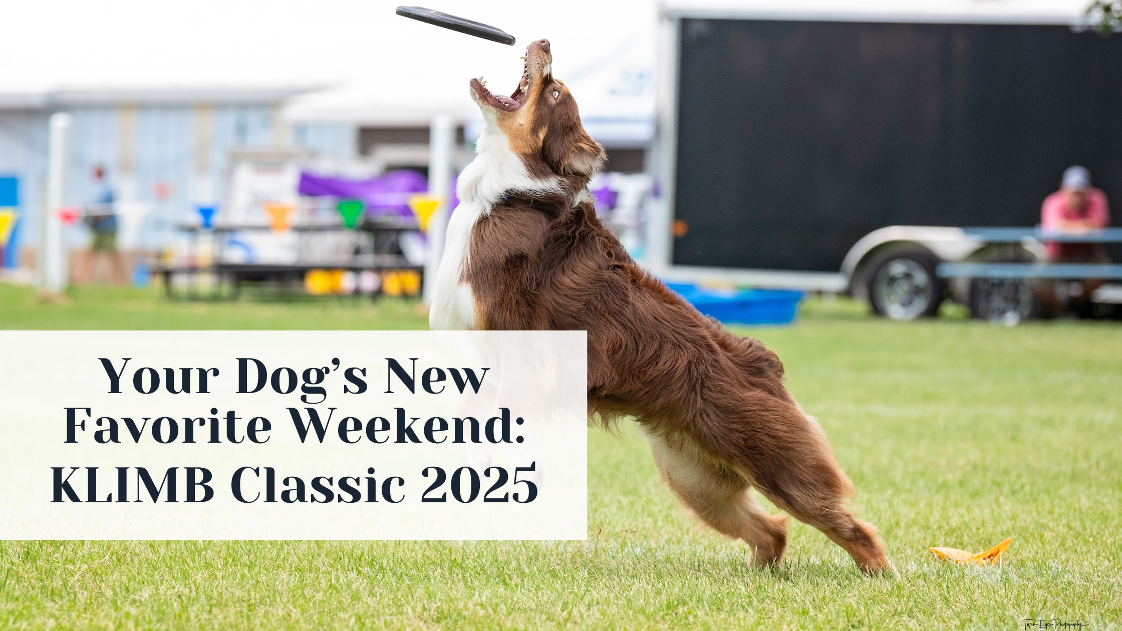 Your Dog’s New Favorite Weekend: KLIMB Classic 2025 – Blue-9 Pet Products