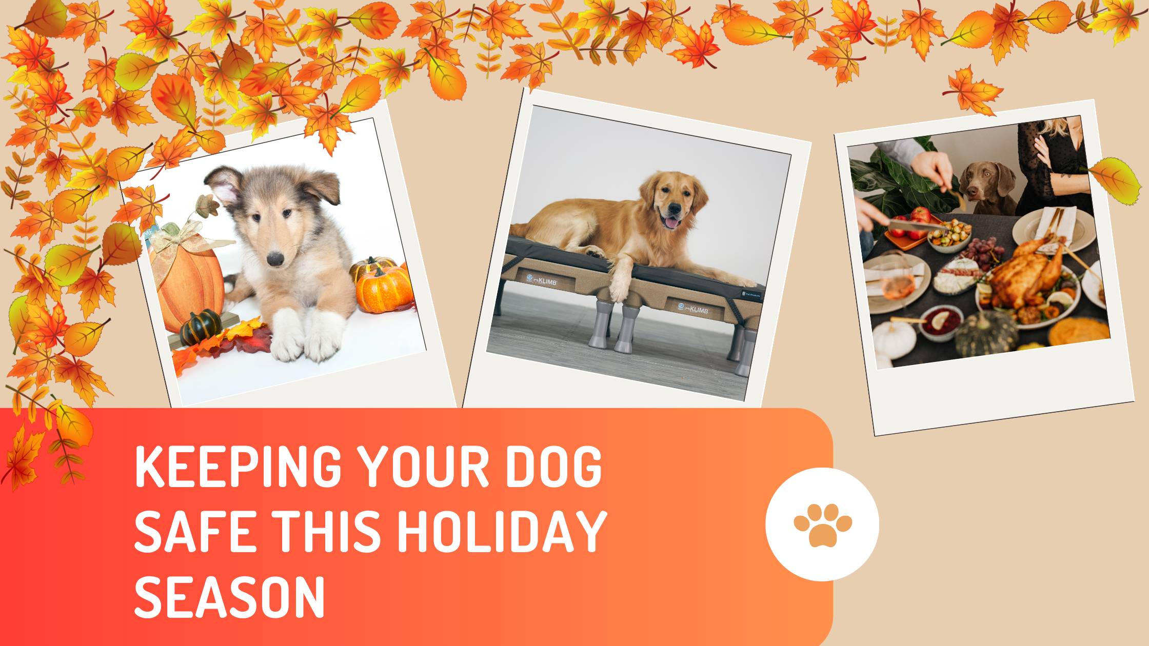 Keeping Your Dog Safe This Holiday Season – Blue-9 Pet Products