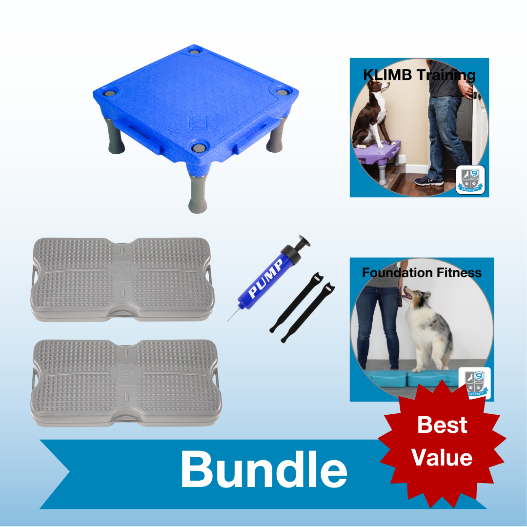 Enrichment and Activity Bundles – Blue-9 Pet Products