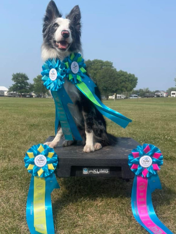 KLIMB Classic – Blue-9 Pet Products