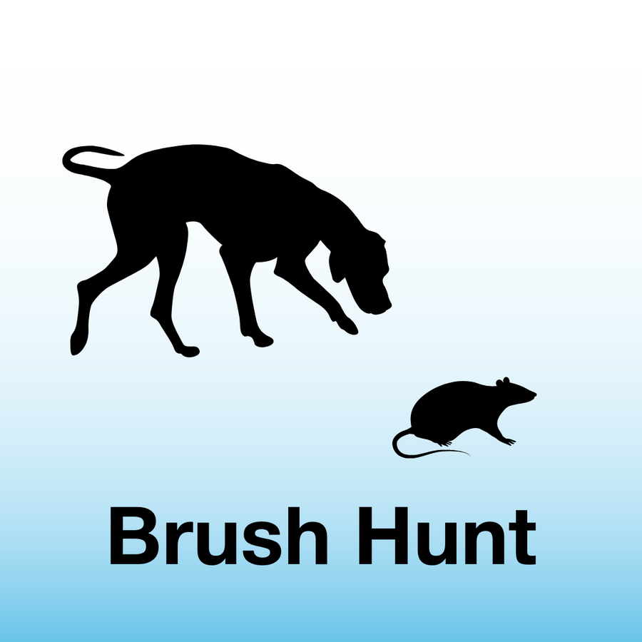 KLIMB Classic – Blue-9 Pet Products