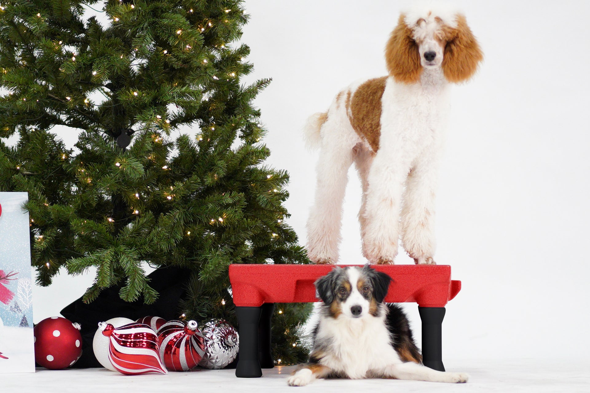 KLIMB® Collection | Award Winning Dog Training Products – Blue-9 Pet ...