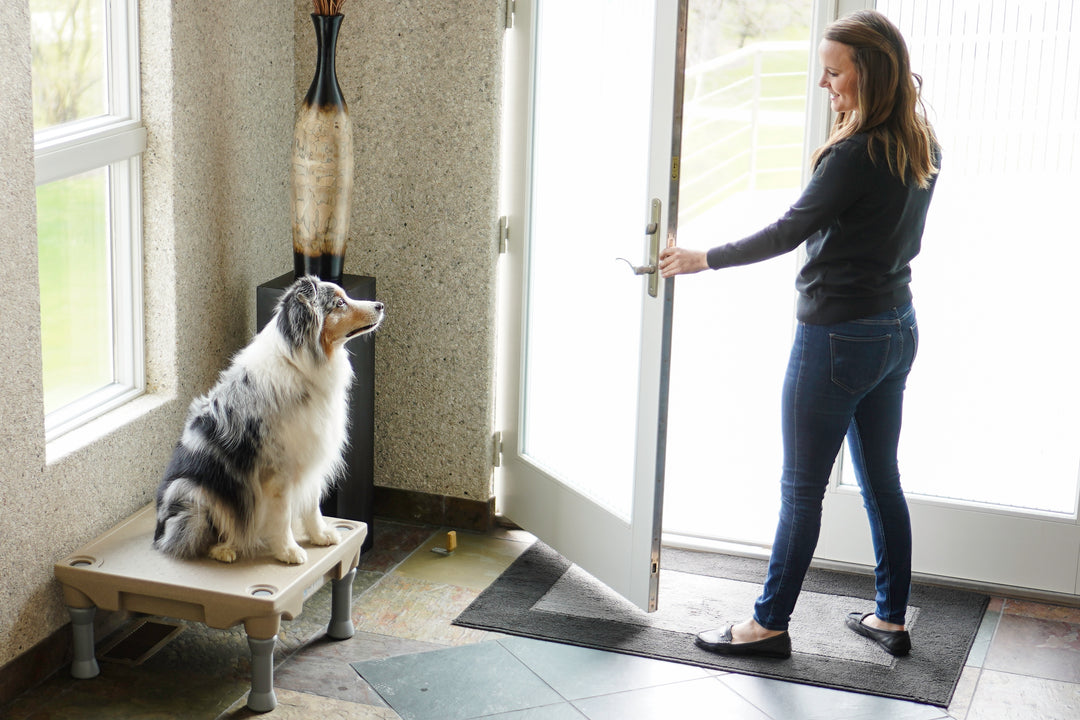 About the Balance Harness® | Sizing Chart & Video Tutorial – Blue-9 Pet ...