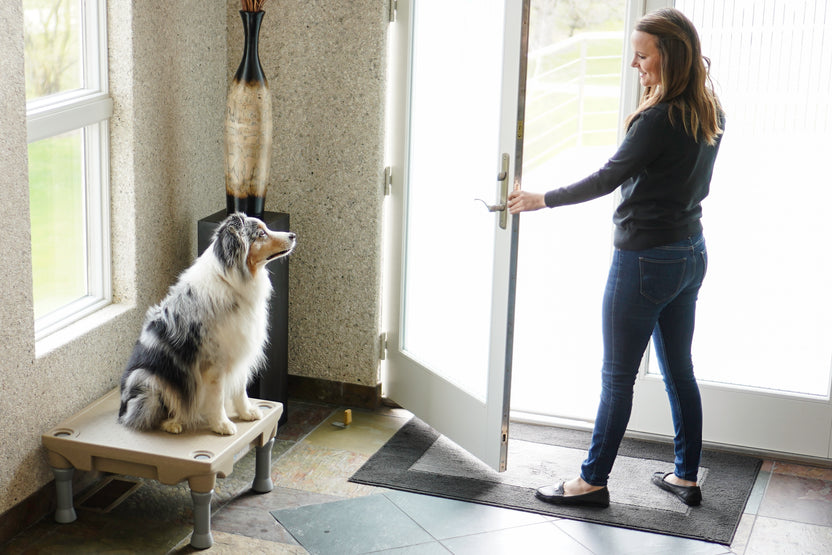 About the KLIMB® Dog Training Platform | Details, Reviews & More – Blue ...