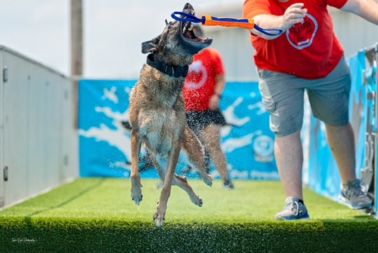 KLIMB Classic – Blue-9 Pet Products