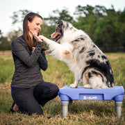 About the KLIMB® Dog Training Platform | Details, Reviews & More – Blue ...