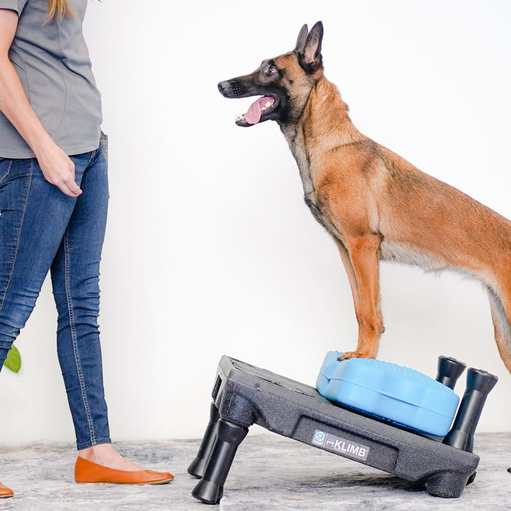 About the KLIMB® Dog Training Platform | Details, Reviews & More – Blue ...
