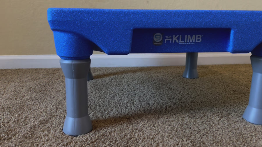 About the KLIMB® Dog Training Platform | Details, Reviews & More – Blue ...