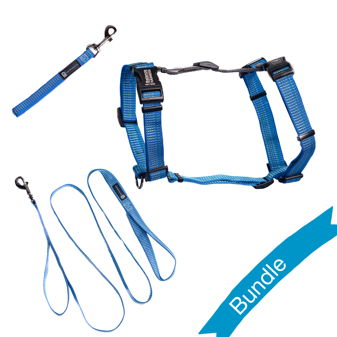 Blue Iceberg Reflective Balance Harness Bundle with 6' Leash – Blue-9 ...