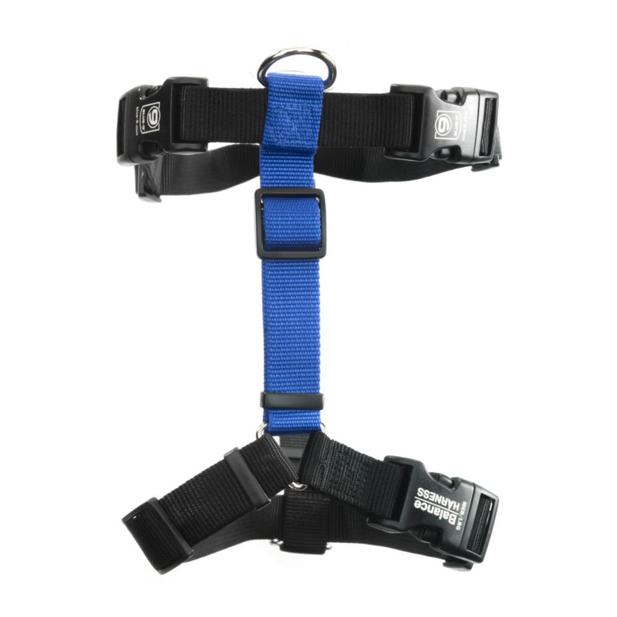 Balance Harness® | Six-Point Adjustable Dog Harness – Blue-9 Pet Products