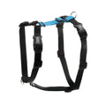 Balance Harness® | Six-Point Adjustable Dog Harness – Blue-9 Pet Products