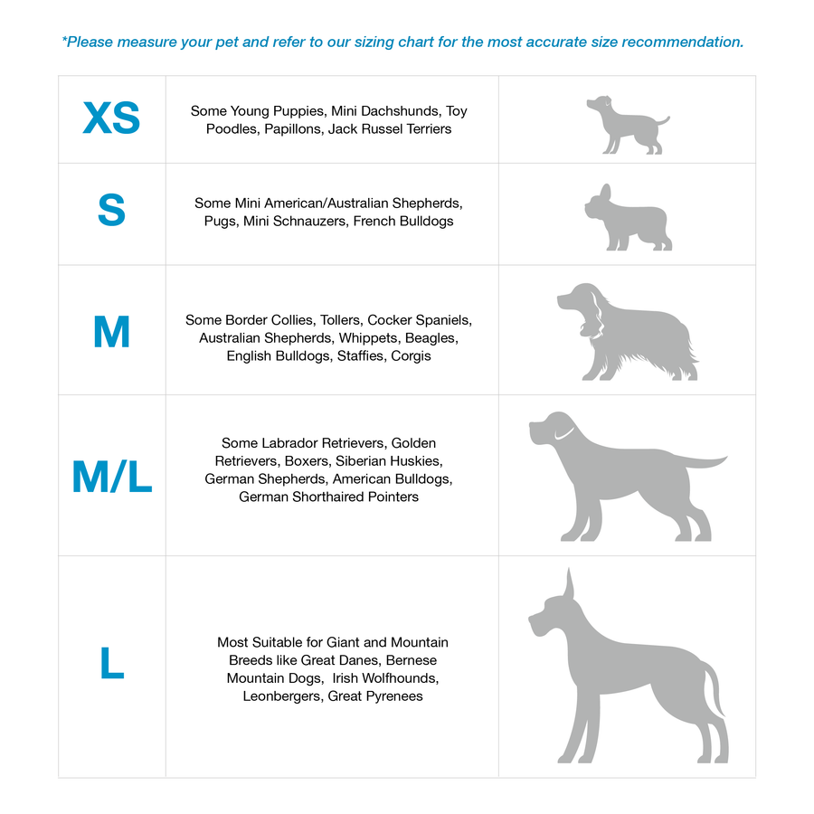 Balance Harness® | Six-Point Adjustable Dog Harness – Blue-9 Pet Products