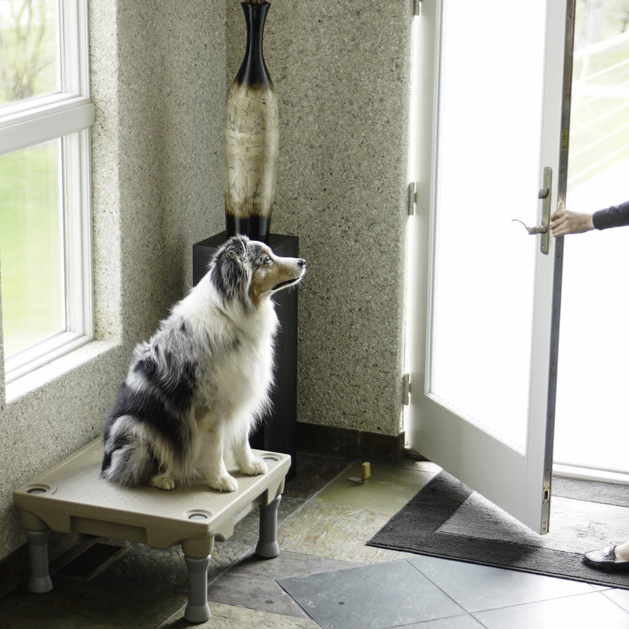 KLIMB® Dog Training System | Award-winning Canine Training Platform ...