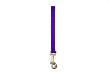 LEAD Dog Training Tab Leash | A Convenient Mini Dog Leash – Blue-9 Pet ...