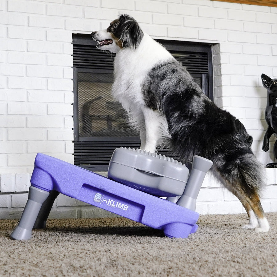 KLIMB® Dog Training System | Award-winning Canine Training Platform ...